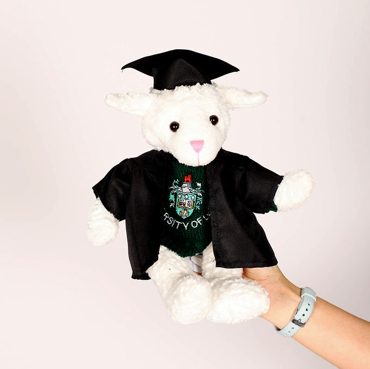 Graduation – Gear